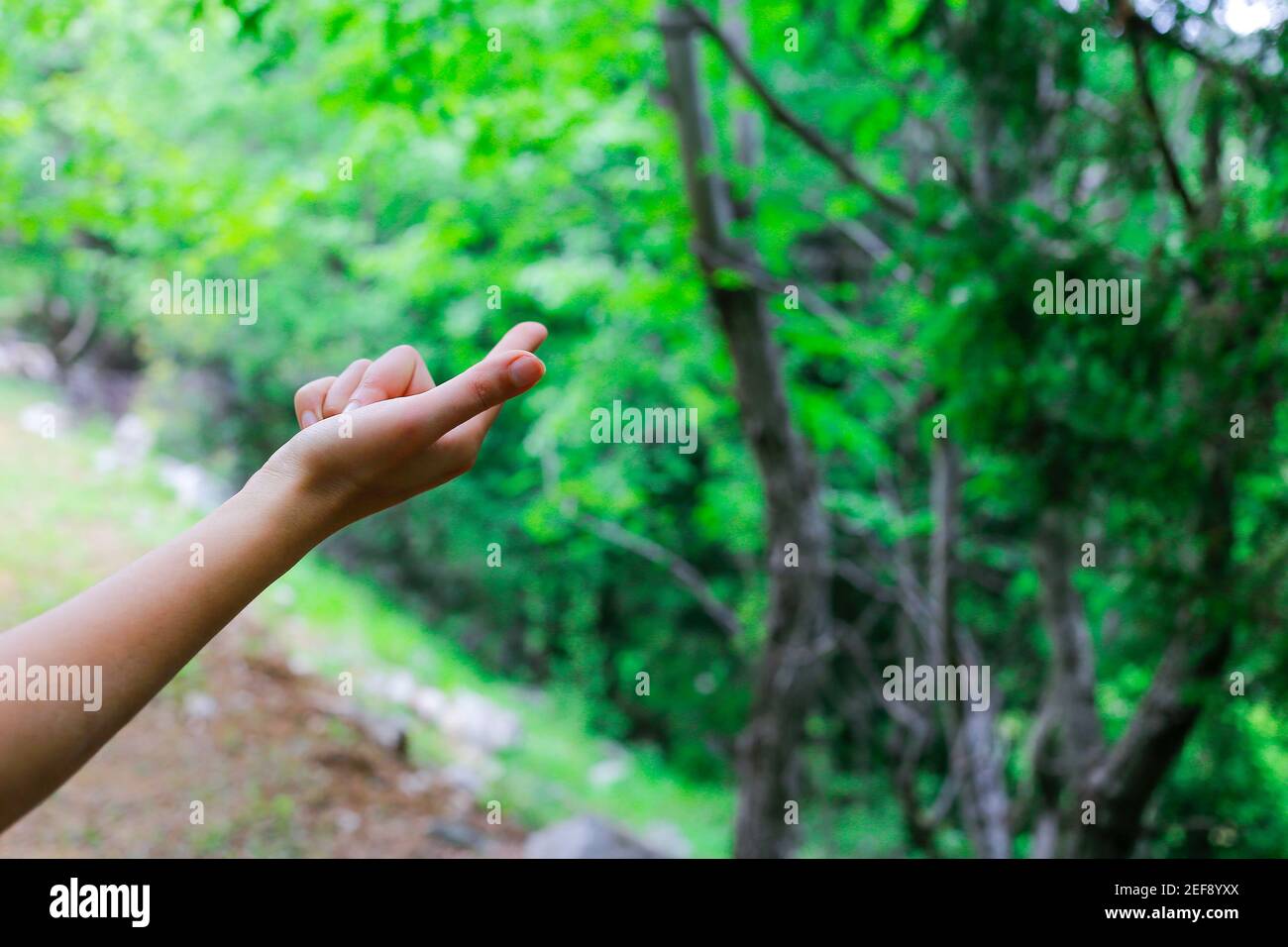 The woman hand point out to trees in the Turkey Stock Photo - Alamy
