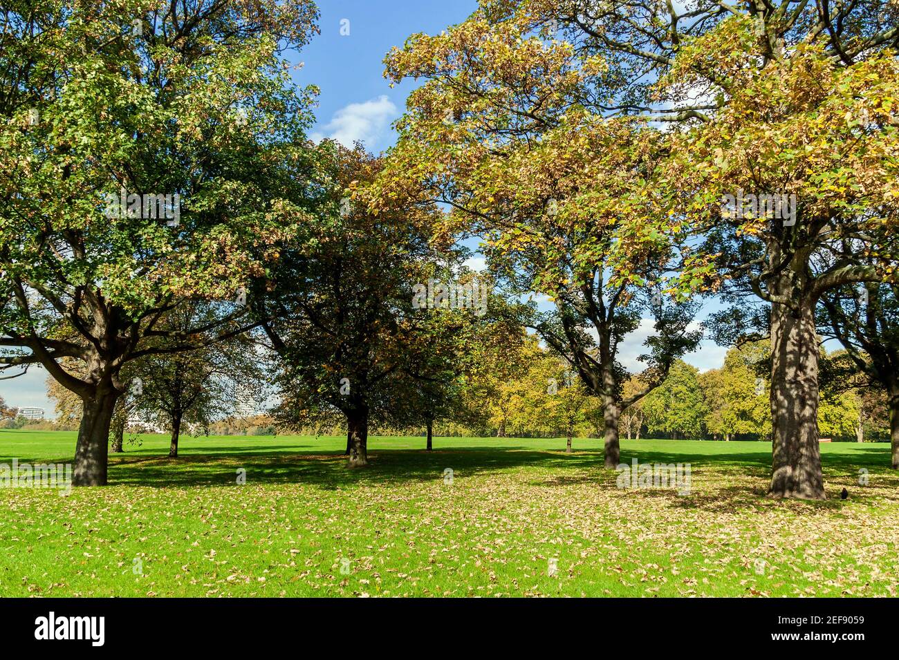 Hyde Park during the autumn fall in London England UK which is a public ...