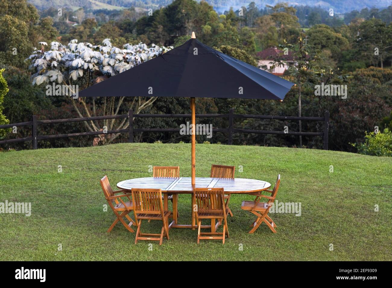 Table Chair Under Tree In High Resolution Stock Photography and Images ...