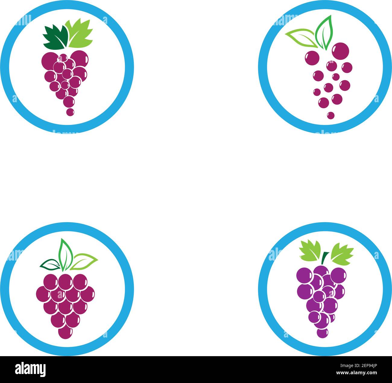 Bunch of wine grapes with leaf icon for food apps and websites Stock ...