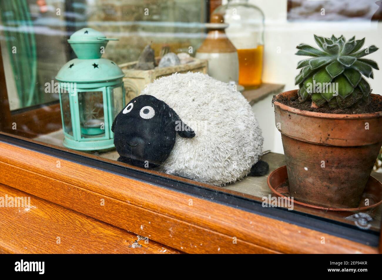 Soft toy seated on window sill Stock Photo - Alamy