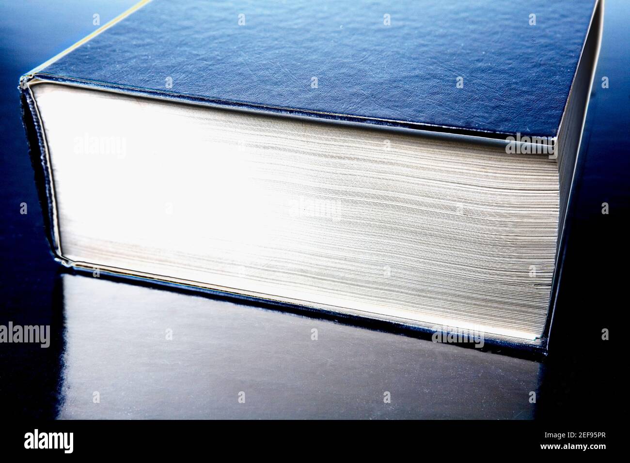 Blue book image hi-res stock photography and images - Alamy