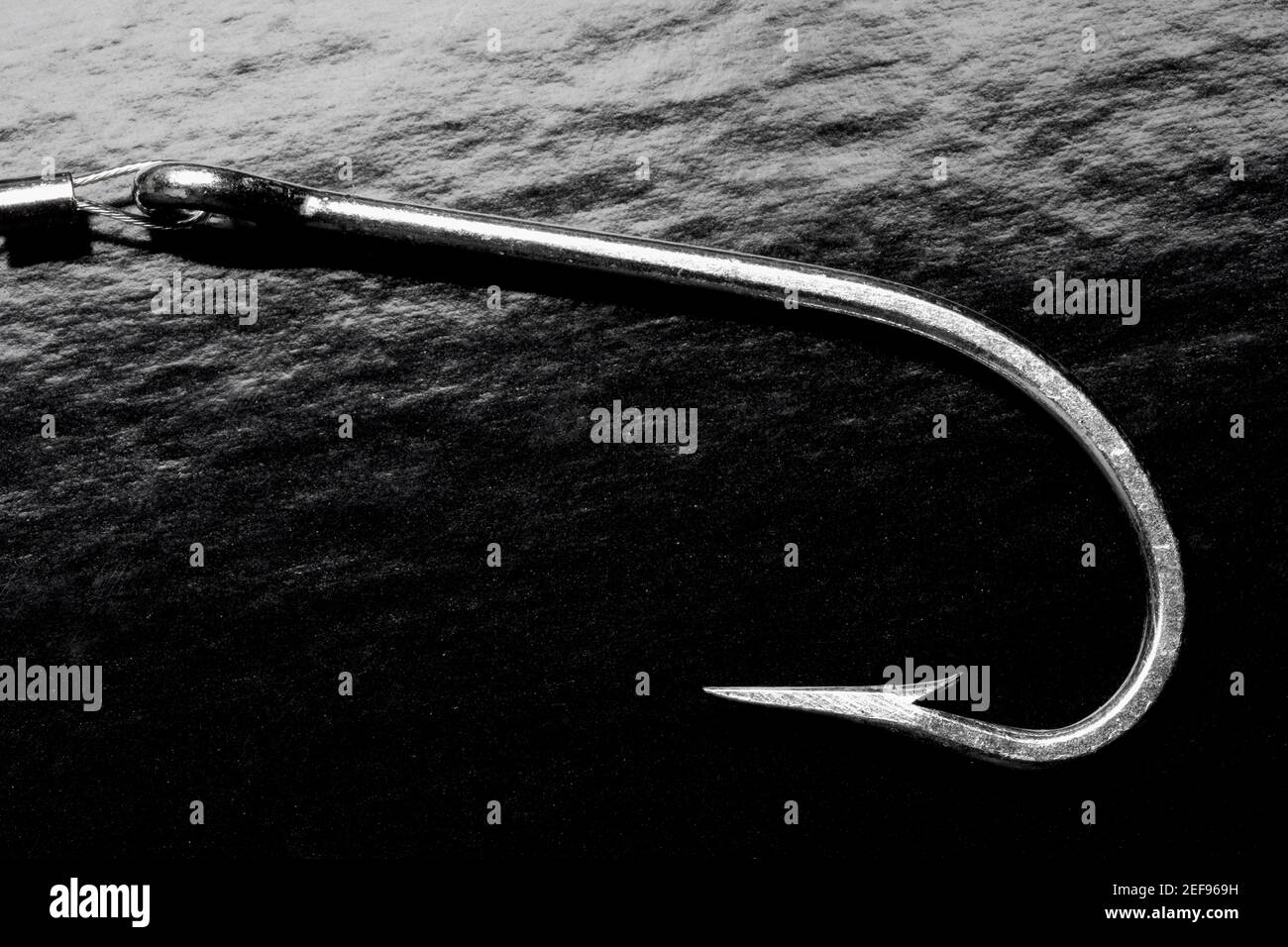 Image of fishing hi-res stock photography and images - Alamy