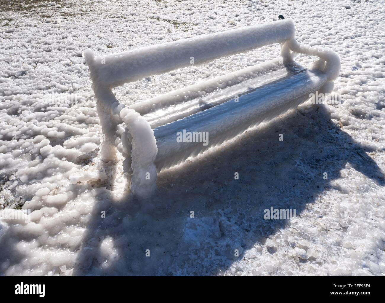 Completly frozen bench at Promenade in Illmitz, Neusiedlersee, Austria ...