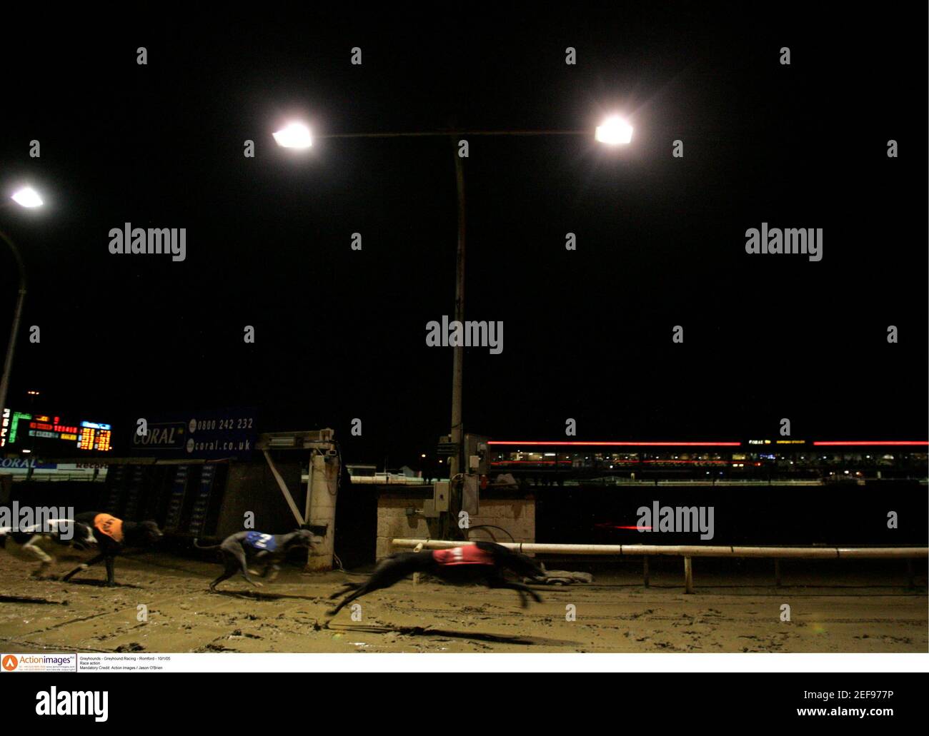 Romford greyhound racing hi-res stock photography and images - Alamy