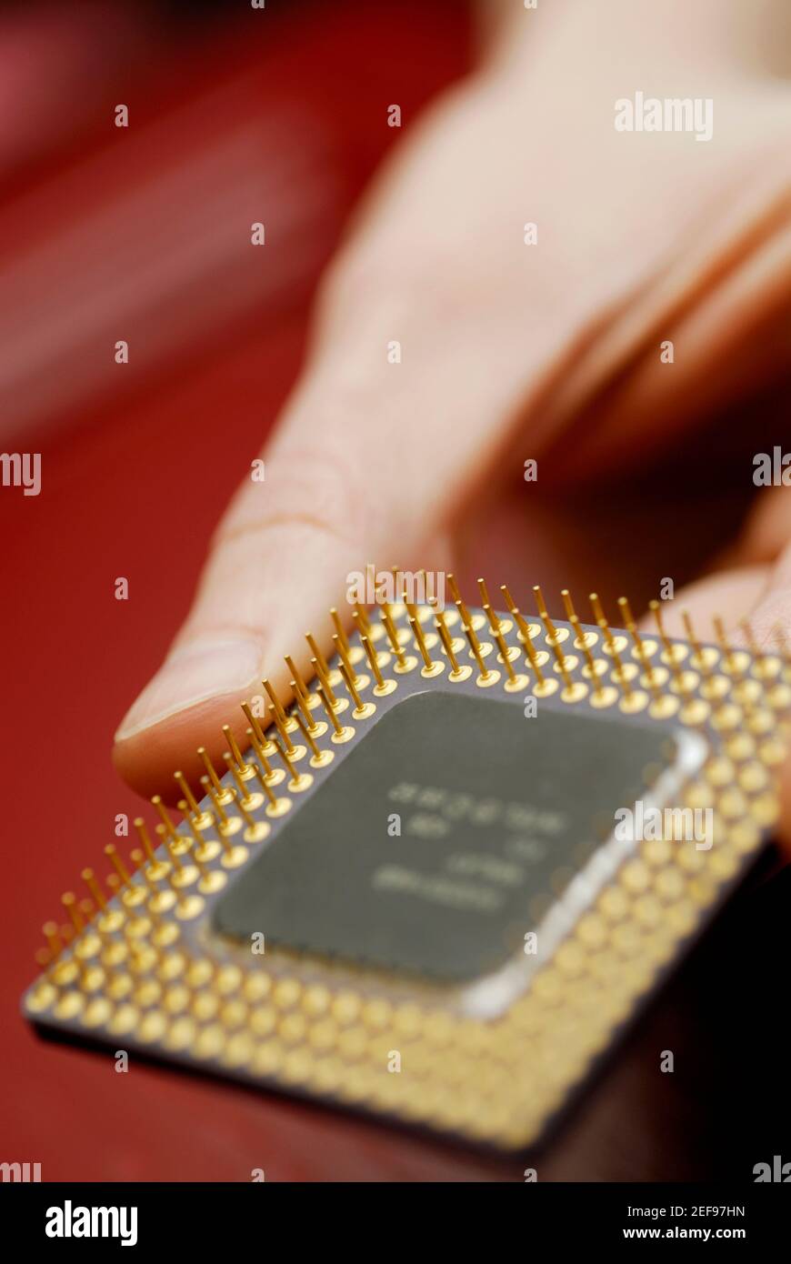 Living single chip hi-res stock photography and images - Alamy