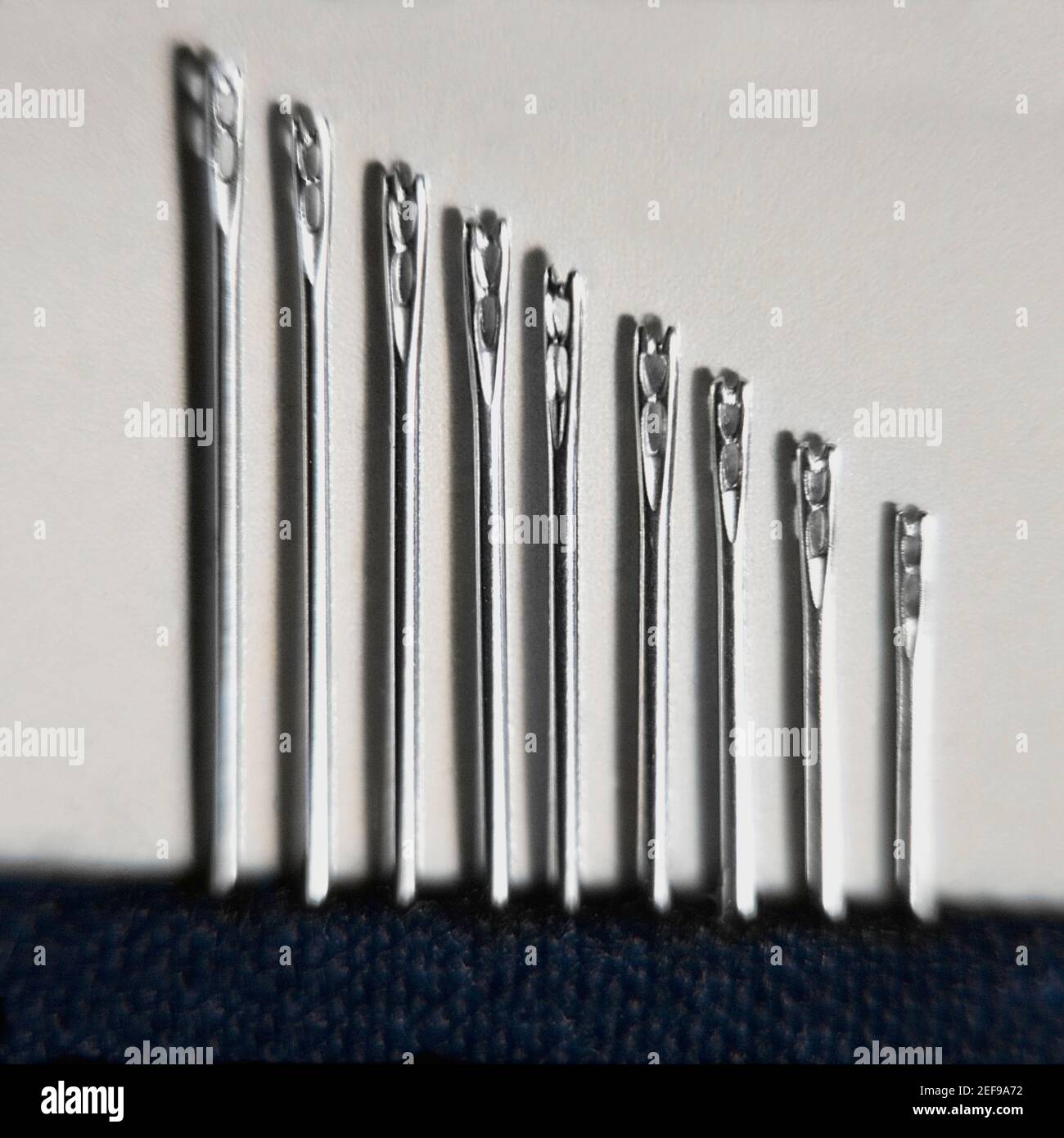 Close-up of needles in a row Stock Photo - Alamy