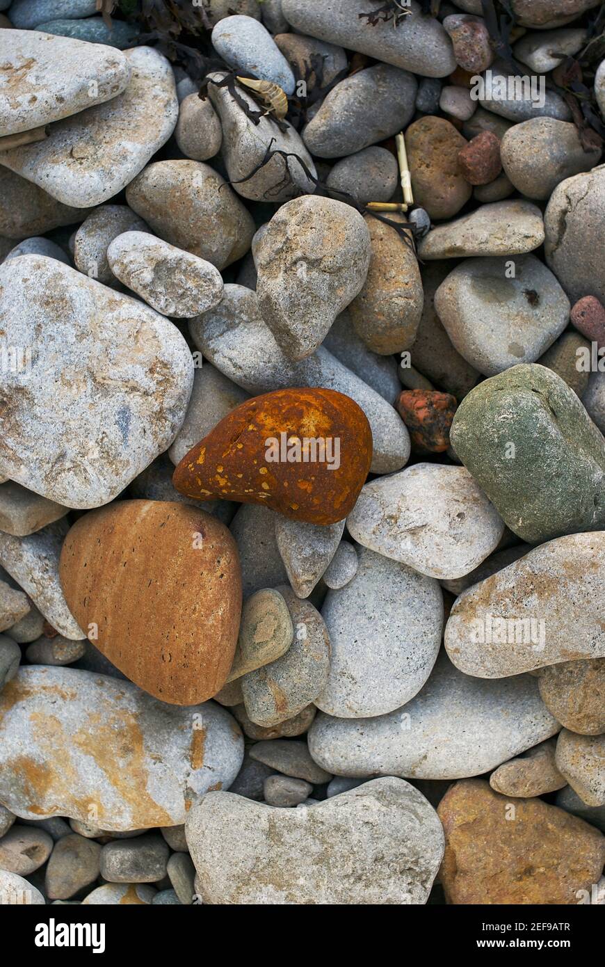 Pebble assortment hi-res stock photography and images - Alamy