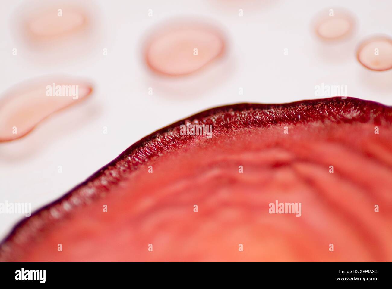 Close up of blood cells Stock Photo - Alamy