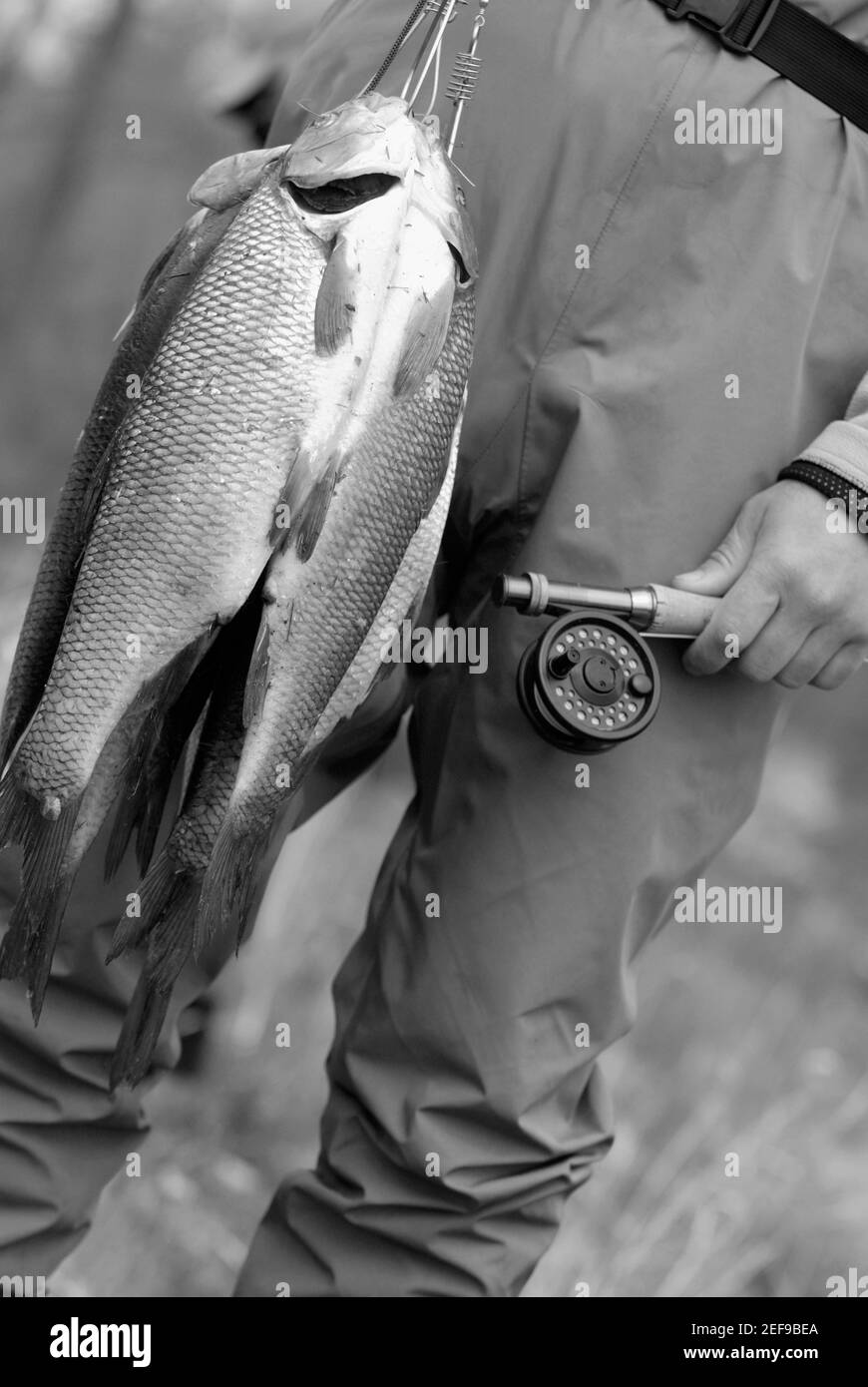 Low section view of a man holding fish Stock Photo - Alamy