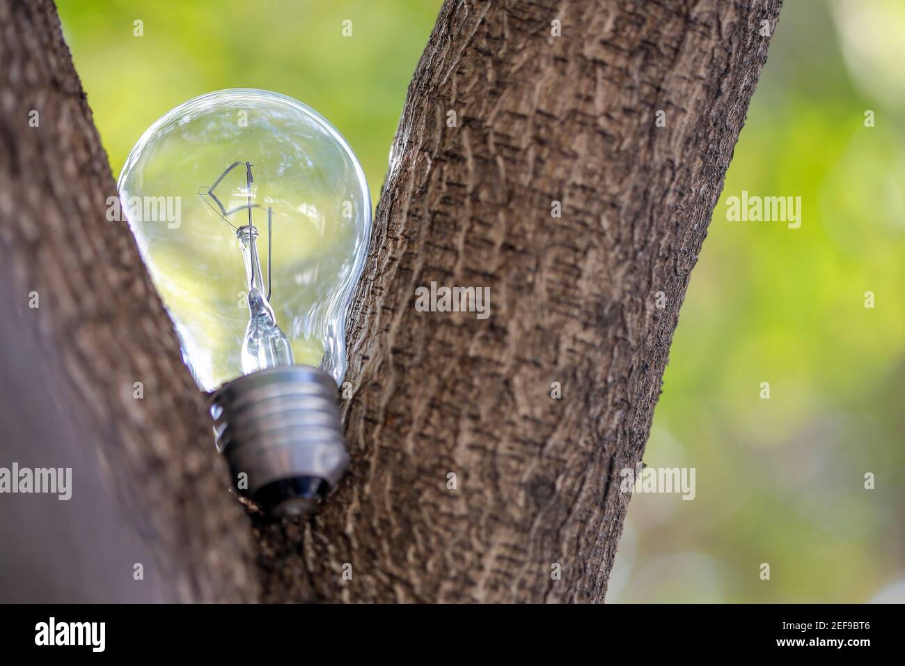 This symbolizes environmental sensitivity Stock Photo - Alamy