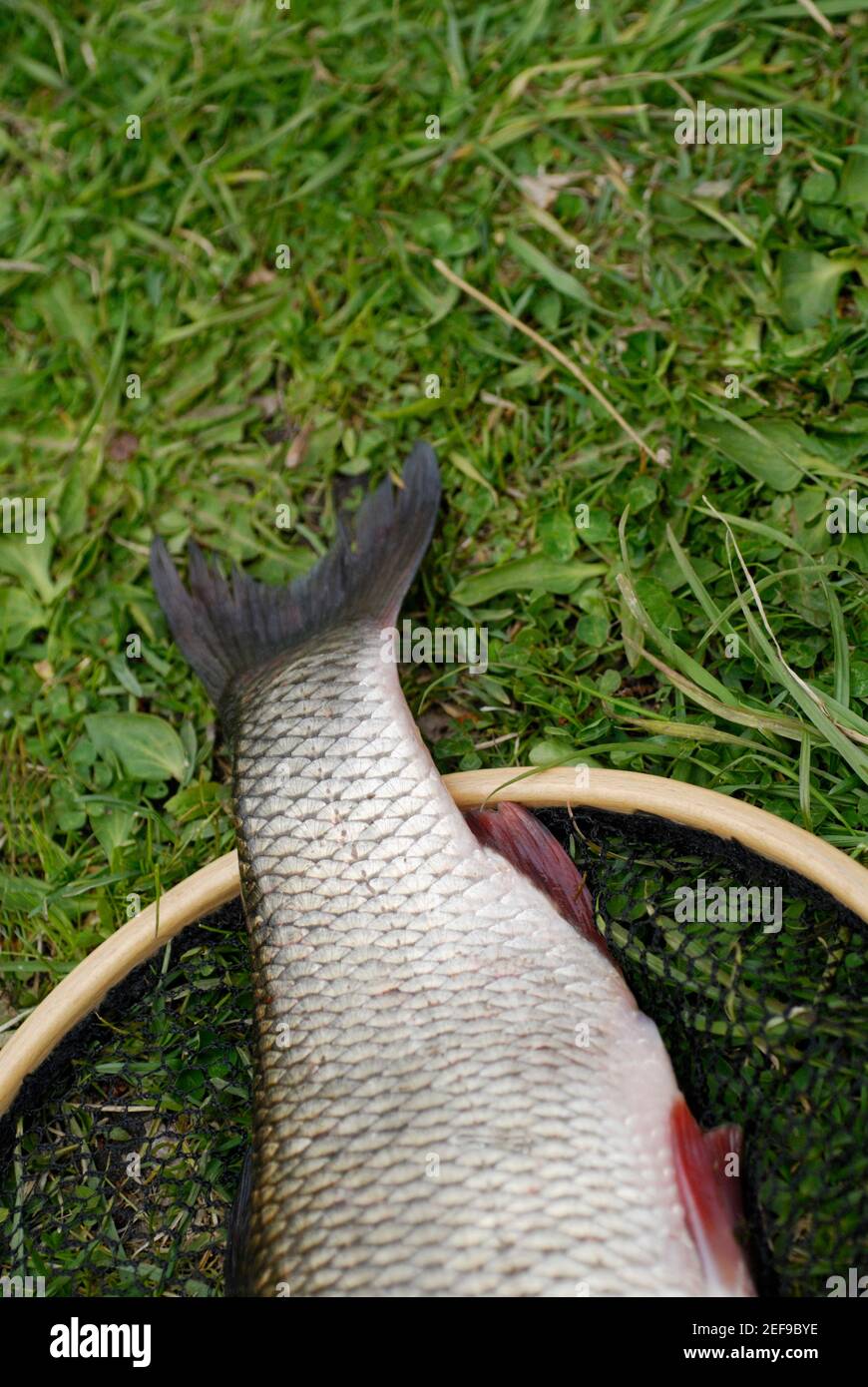 Ide angle hi-res stock photography and images - Alamy