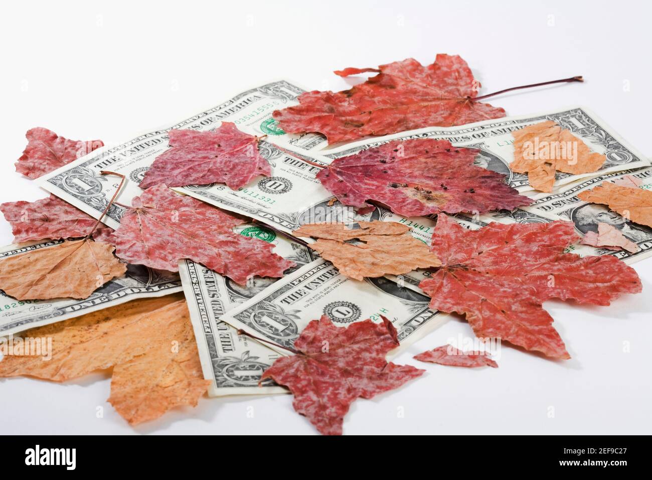 Us dollar bill leaf hi-res stock photography and images - Alamy