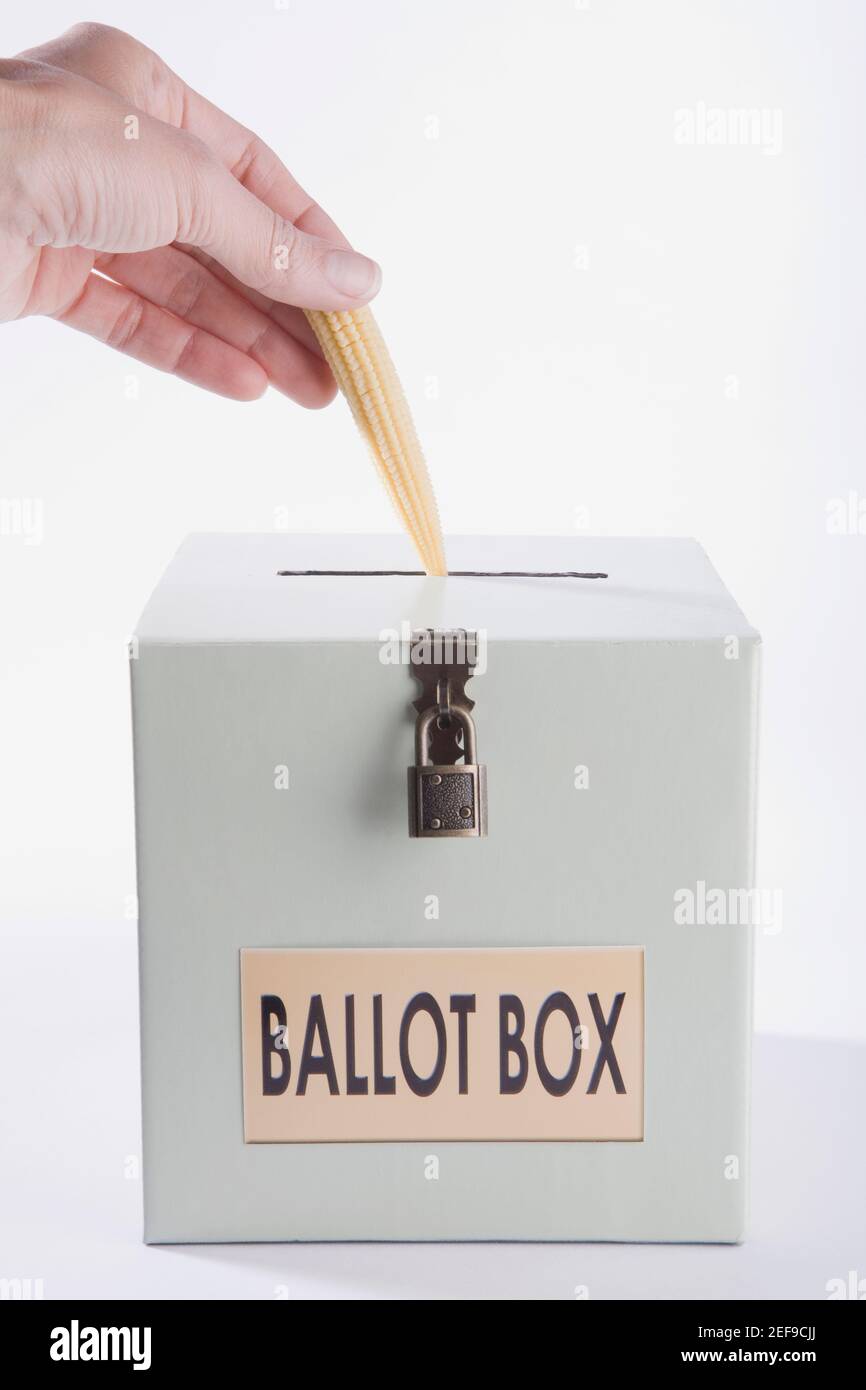 Hand putting vote into ballot box hi-res stock photography and images ...