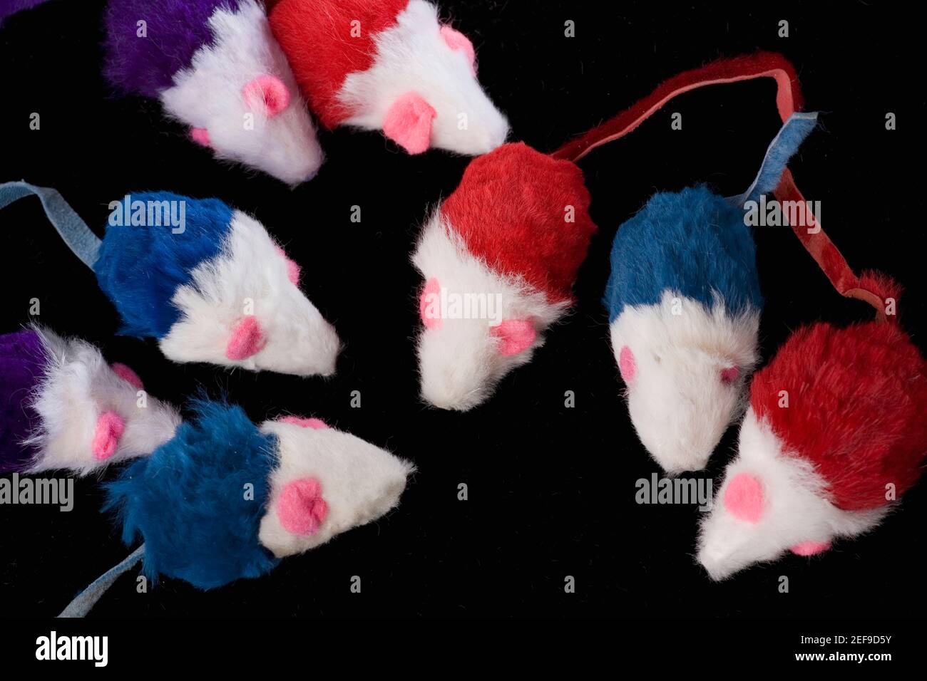 Multicoloured mice hi-res stock photography and images - Alamy