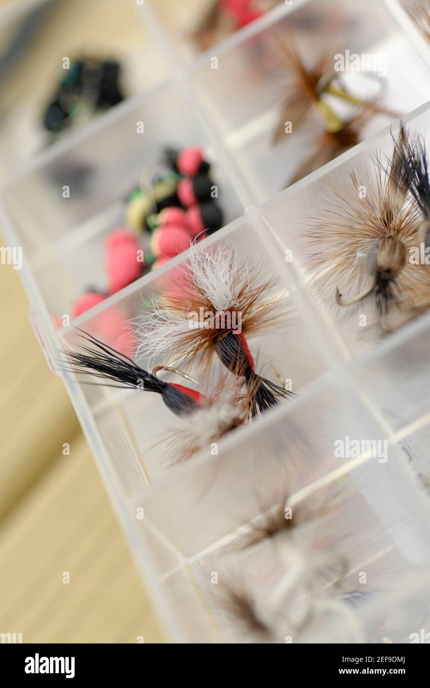 Bait Box High Resolution Stock Photography and Images - Alamy