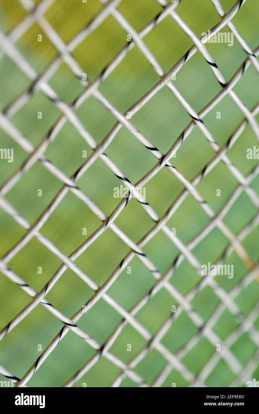 Close-up of the guts of a tennis racket Stock Photo - Alamy