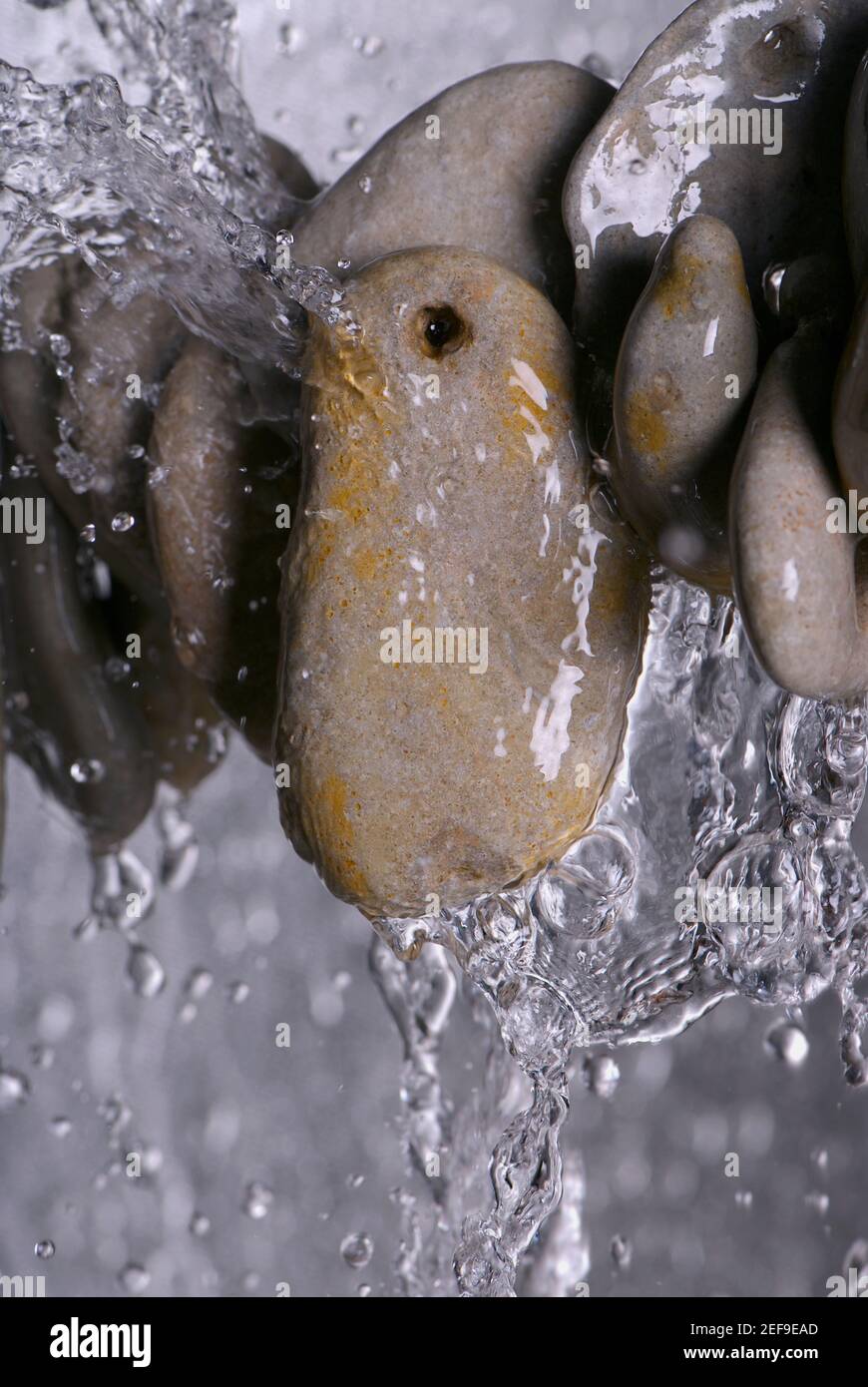 Stack of pebbles in water Stock Photo - Alamy