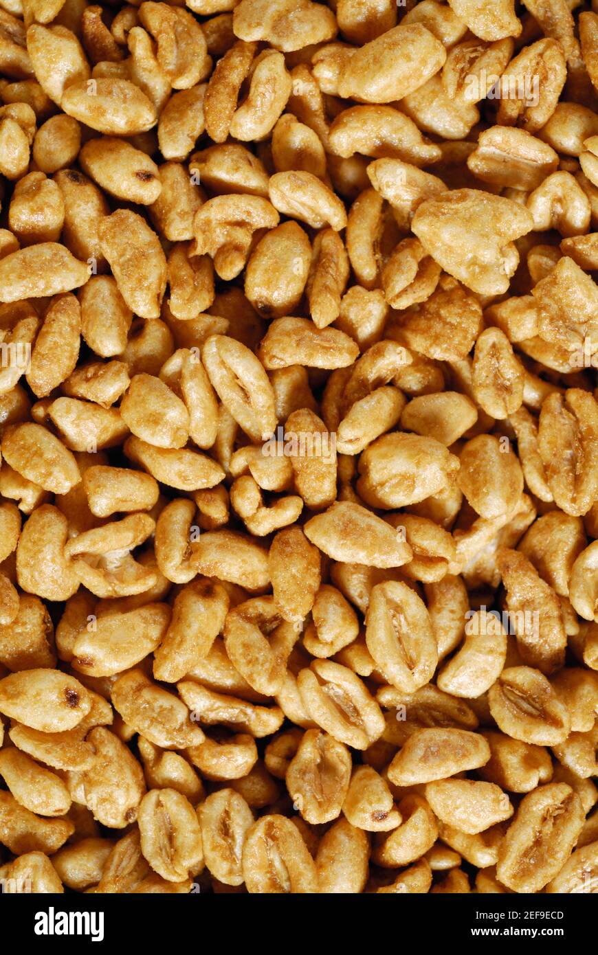 Fried full hi-res stock photography and images - Alamy