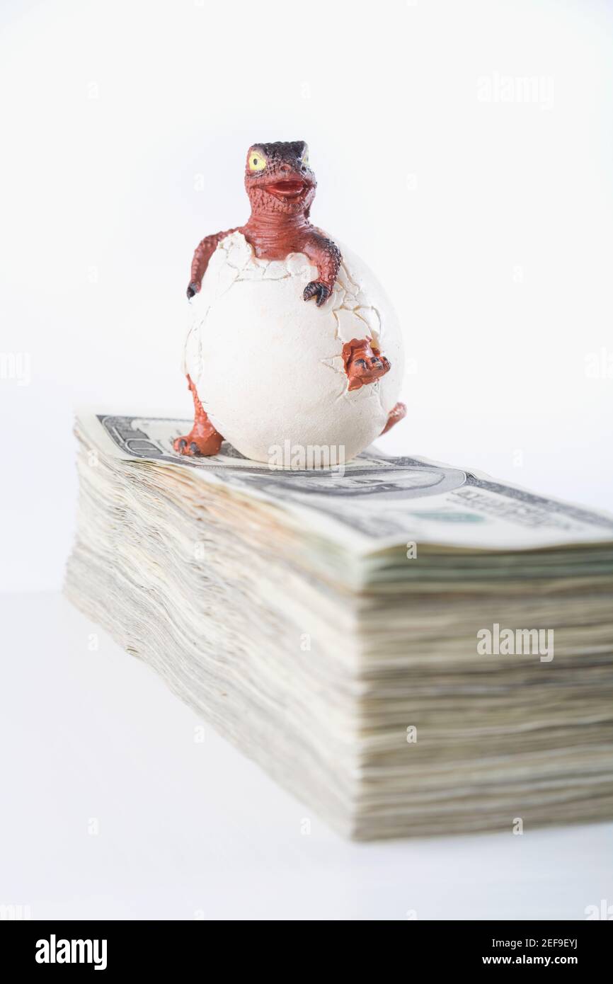 Hatching a new idea hi-res stock photography and images - Alamy