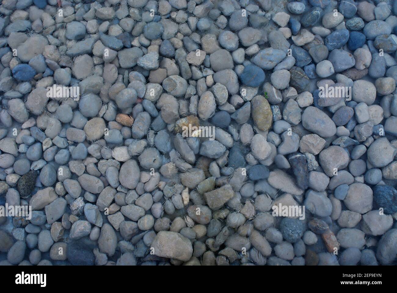Full frame image of pebbles hi-res stock photography and images - Alamy