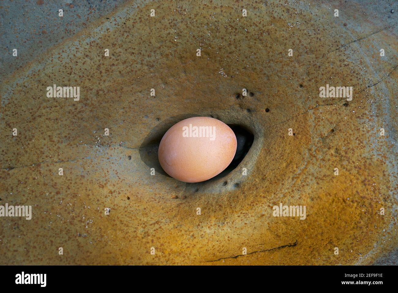 Egg in the hole hi-res stock photography and images - Alamy