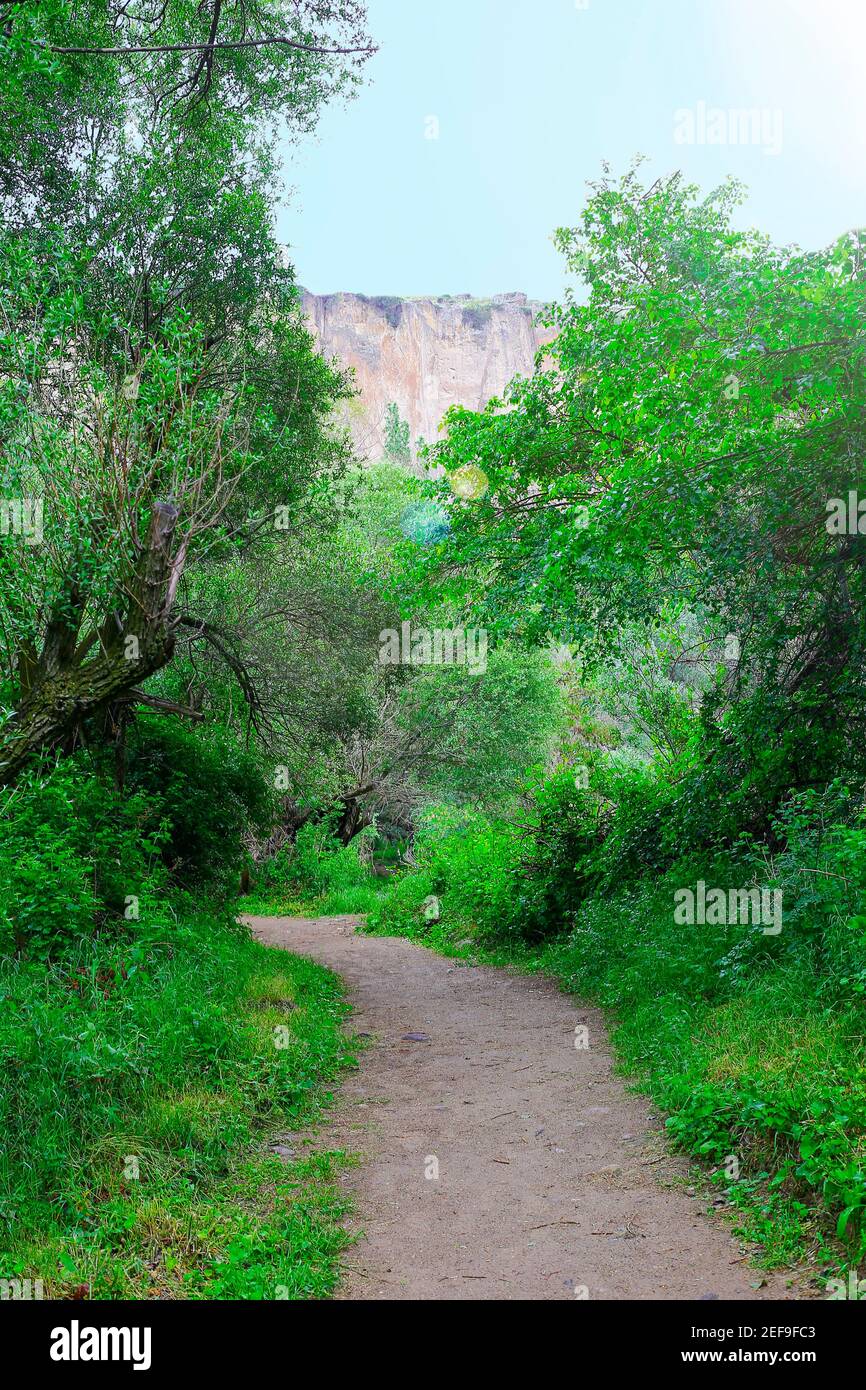 Nice natural hi-res stock photography and images - Alamy