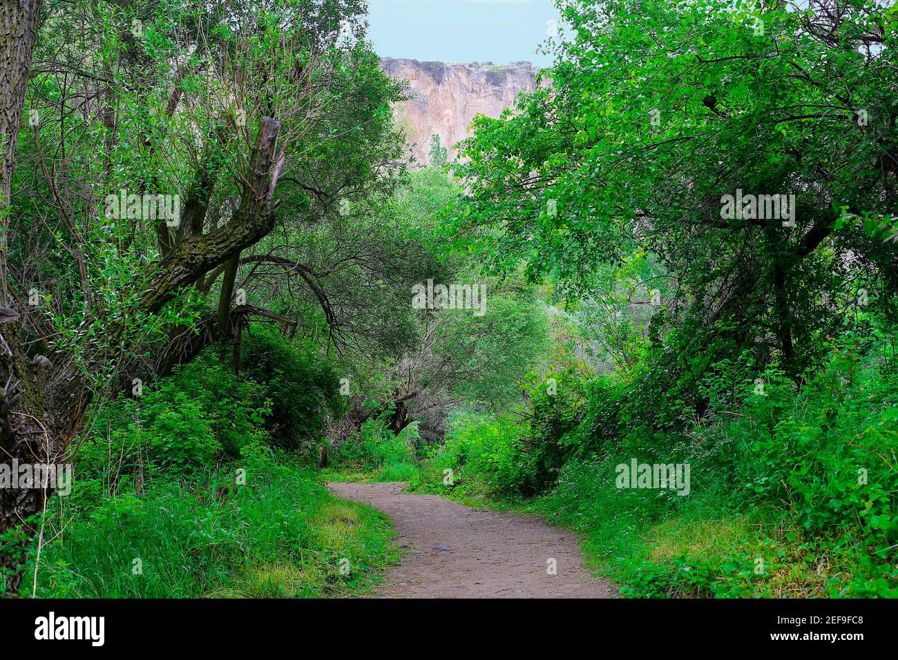 Natural path hi-res stock photography and images - Alamy