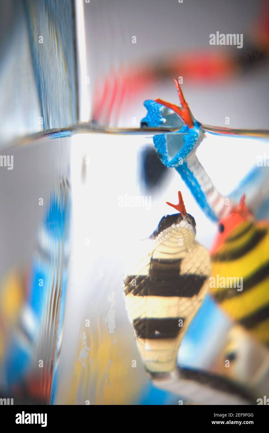 Toy snakes hi-res stock photography and images - Alamy