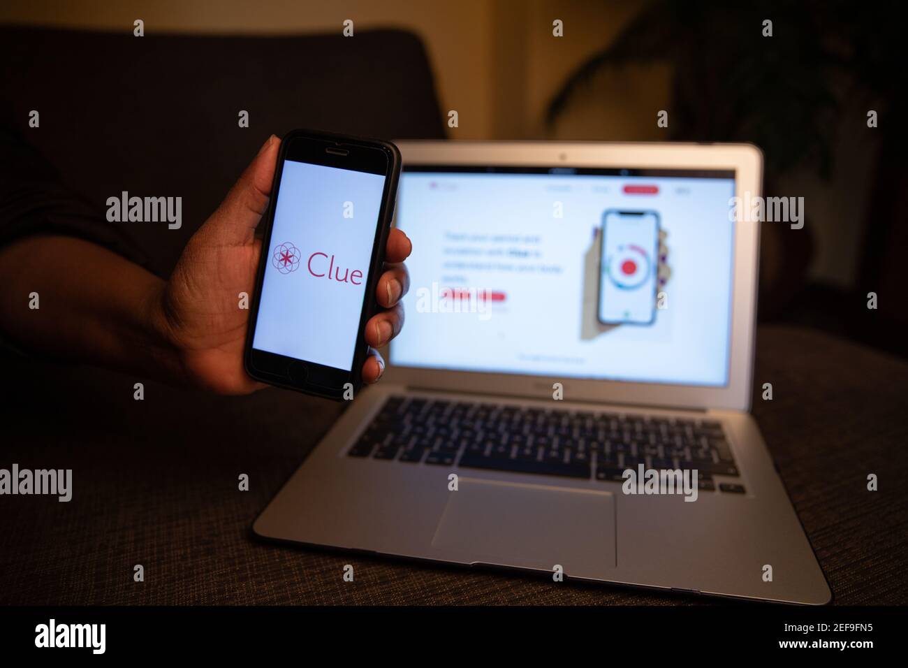 Clue app on the screen of a smartphone and a laptop, is a menstrual ...