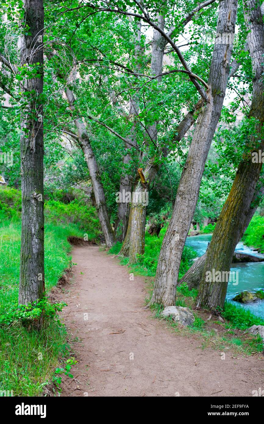 Natural path hi-res stock photography and images - Alamy