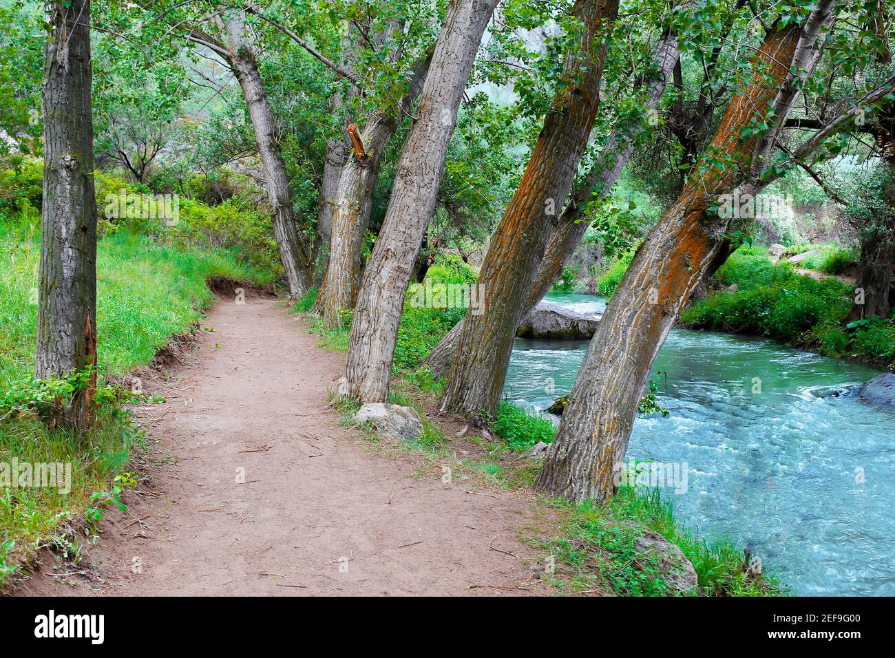 Natural path hi-res stock photography and images - Alamy