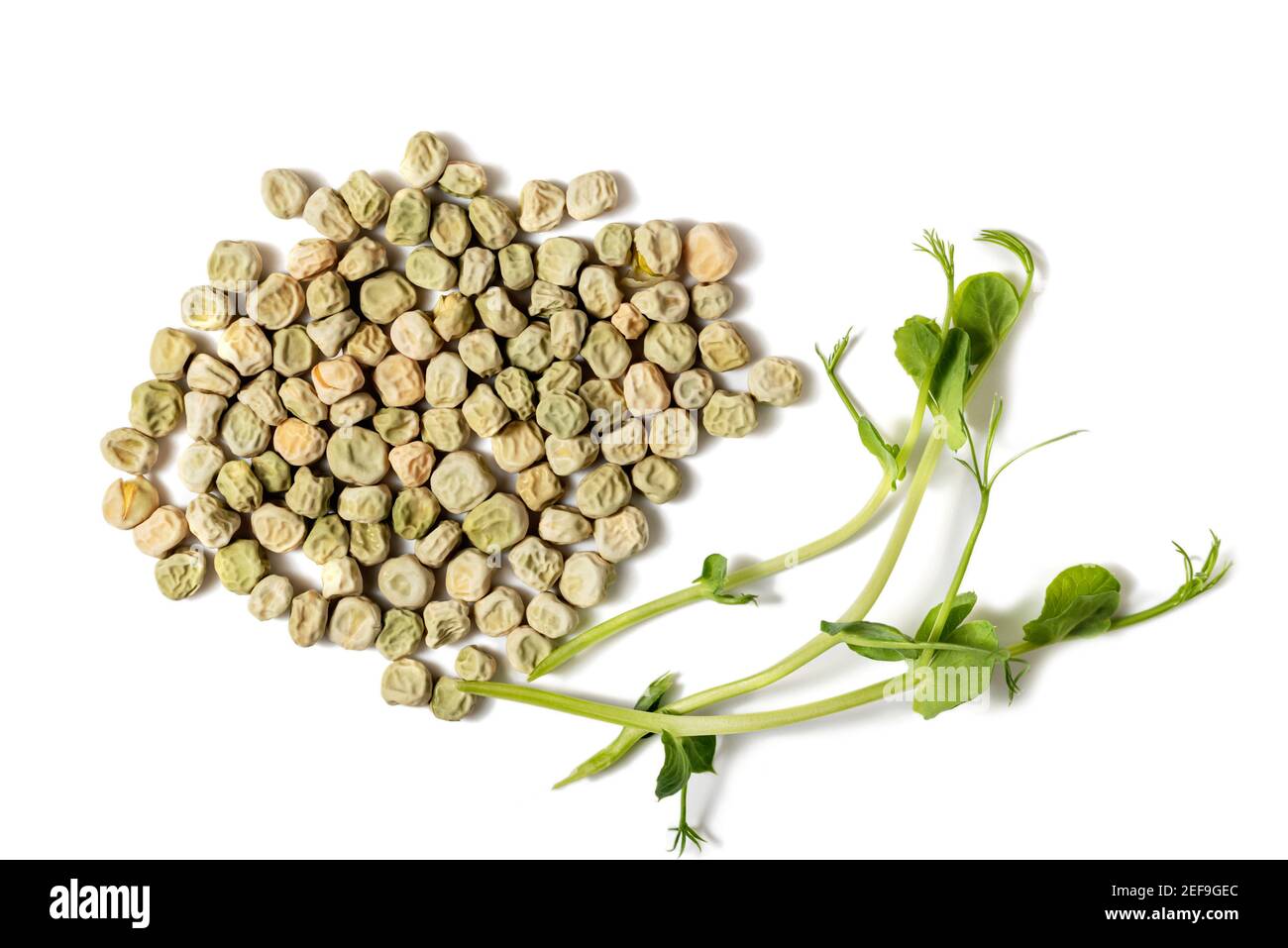 Close-up of peas microgreens and seeds isolated on white background ...