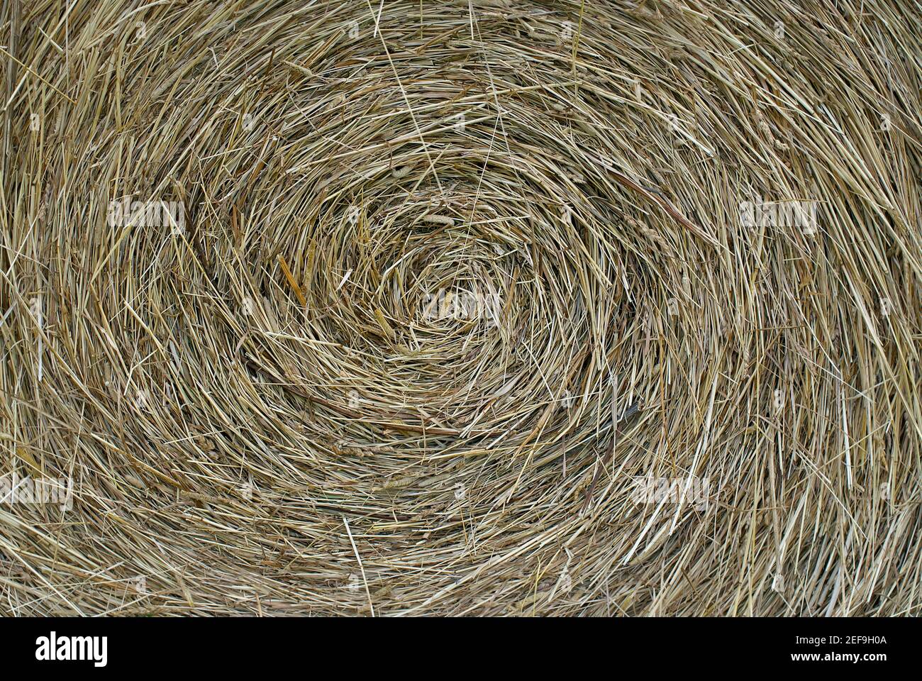 Rolled hay bale close hi-res stock photography and images - Alamy