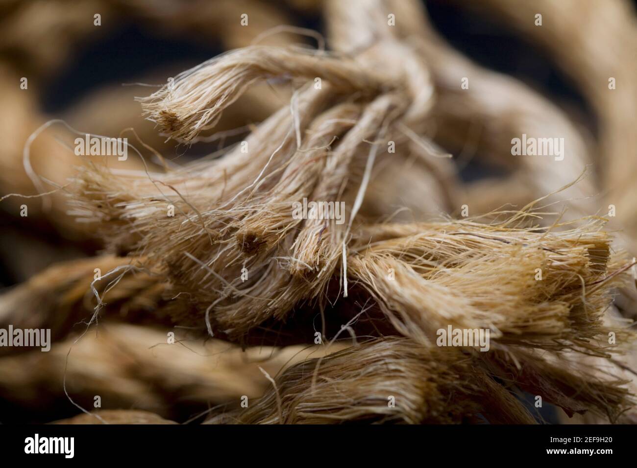 Frayed rope close up hi-res stock photography and images - Alamy