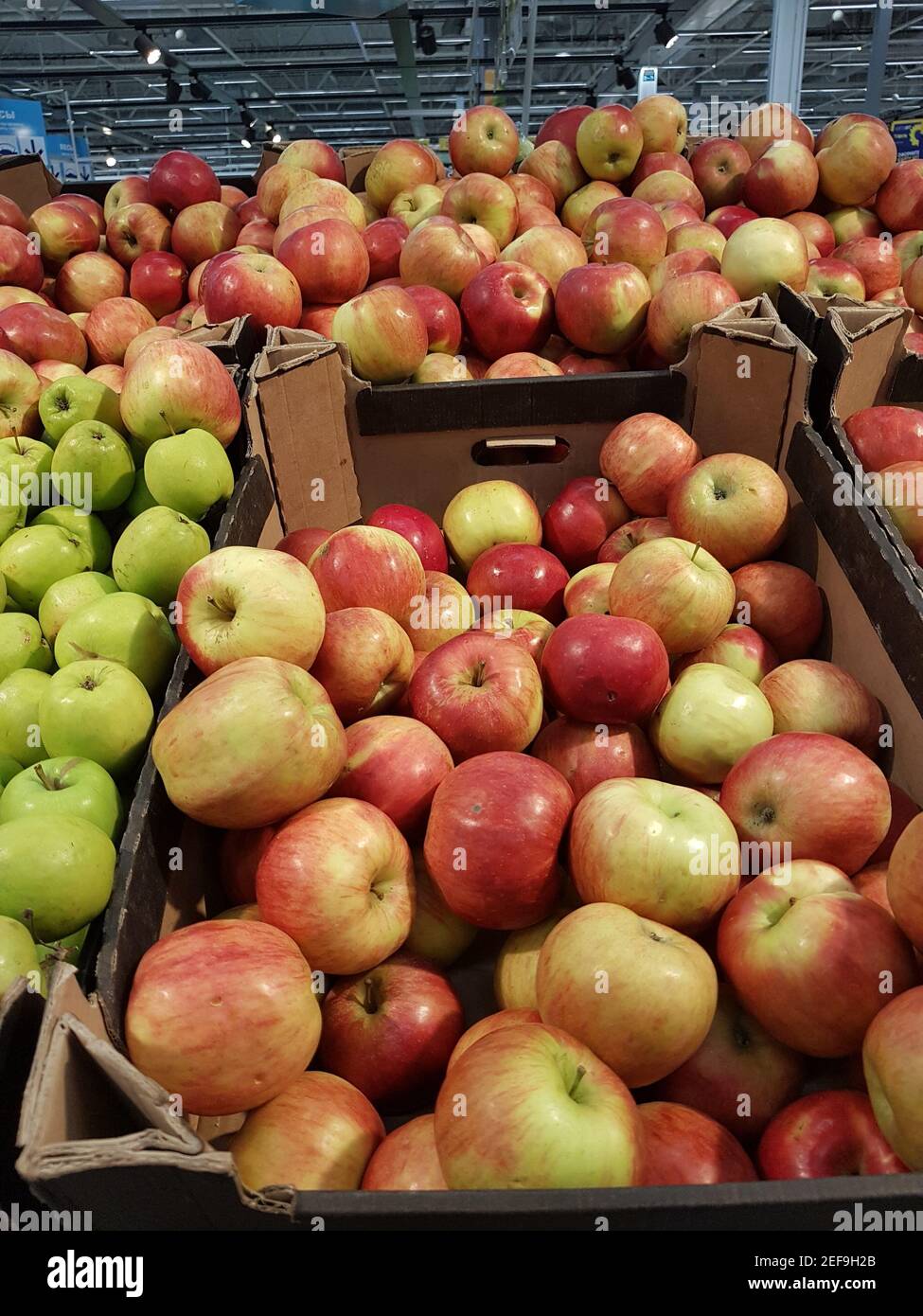 Lots of red and green apples in a supermarket showcase close up Stock ...