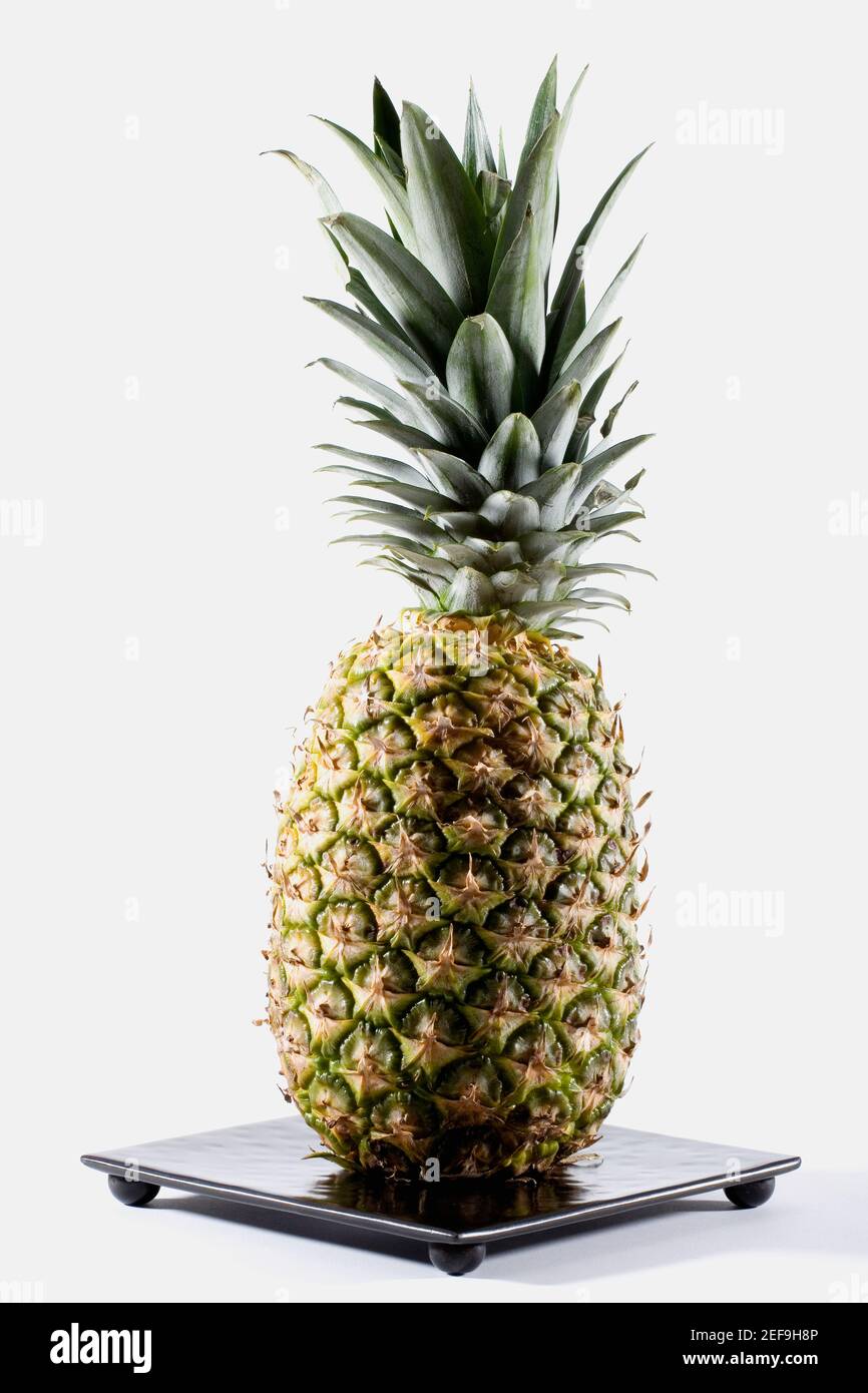 Drink inside pineapple hi-res stock photography and images - Alamy