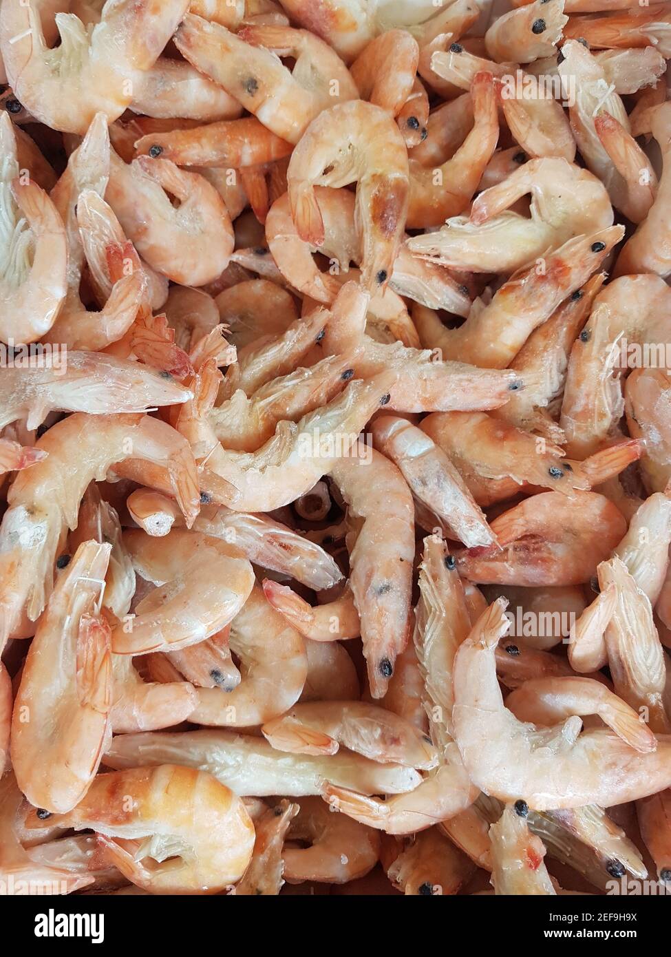 Lots of shrimp hi-res stock photography and images - Alamy