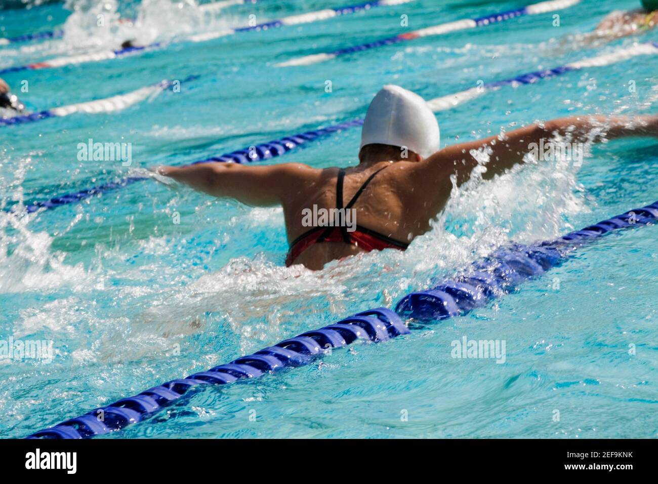 Rear view of a woman swimming in a swimming pool Stock Photo - Alamy