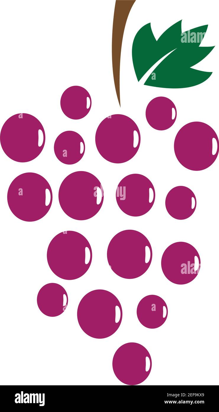 Vitis vector vectors hi-res stock photography and images - Alamy