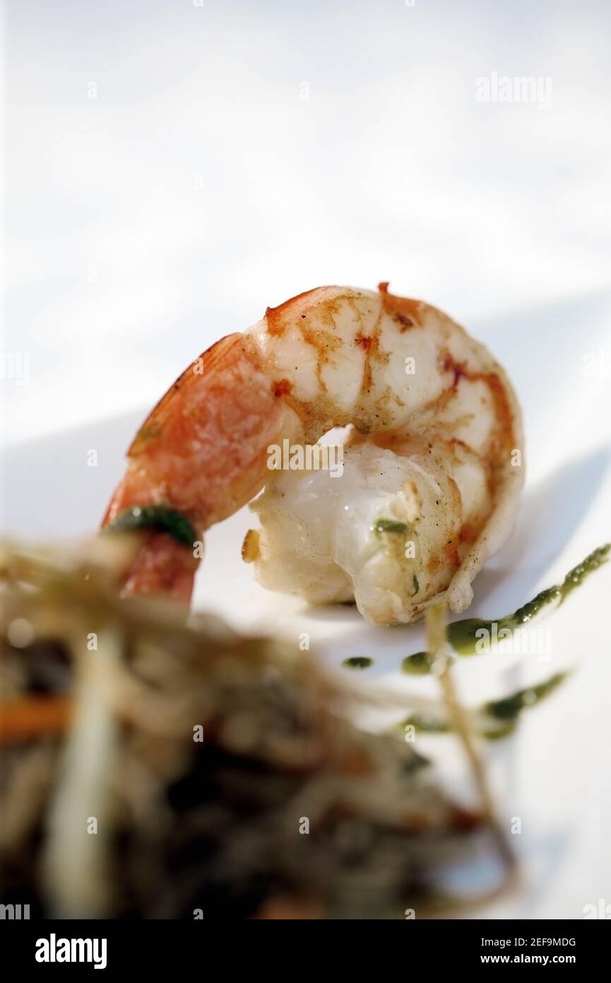 Single prawn plate hi-res stock photography and images - Alamy