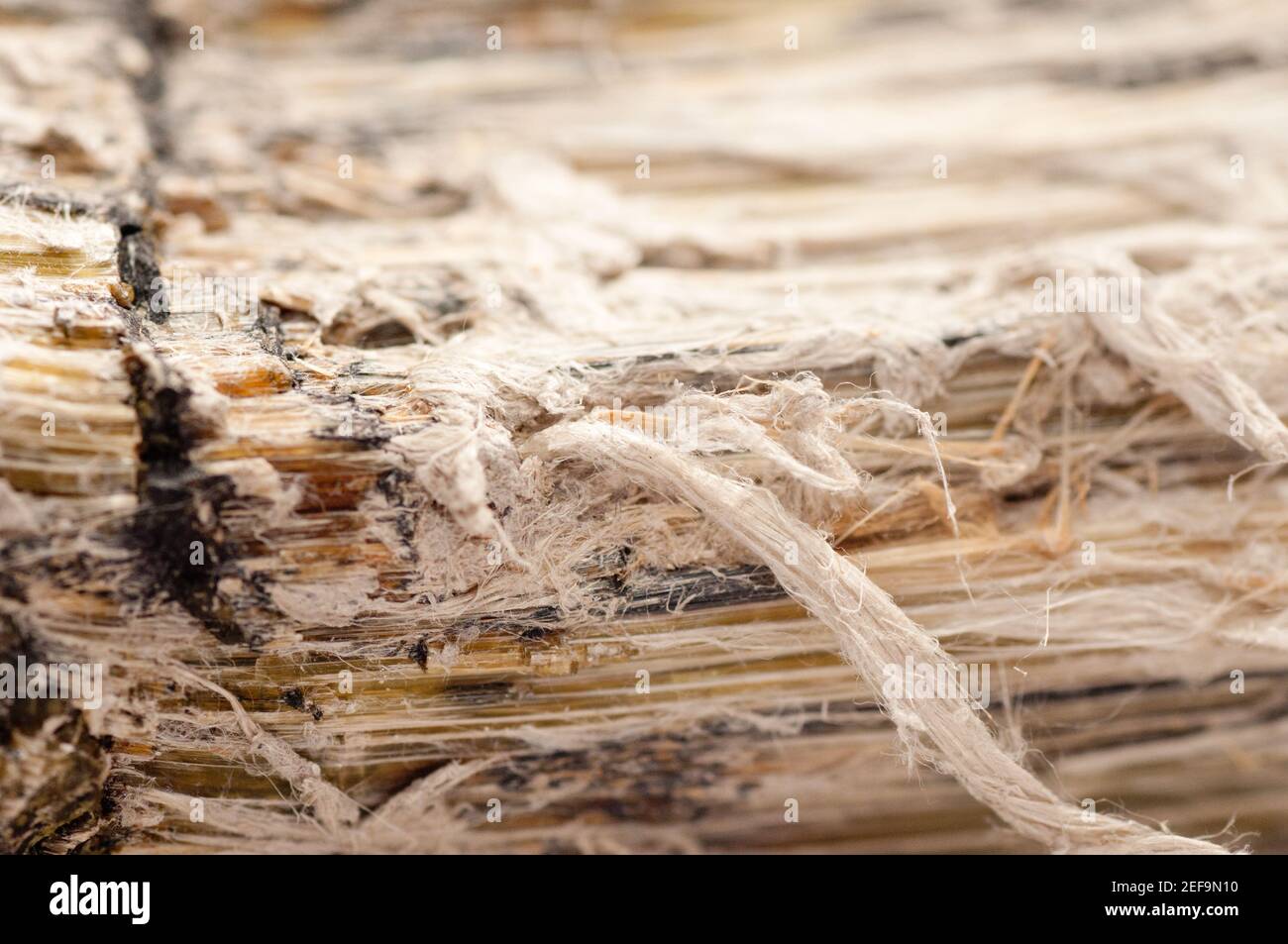 asbestos, serpentine fibers Stock Photo - Alamy