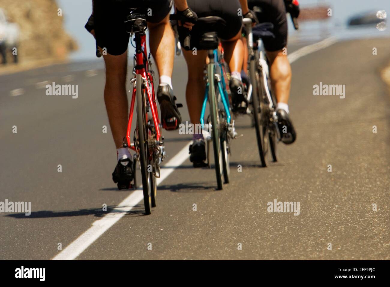 Rear view of a group of people cycling Stock Photo - Alamy