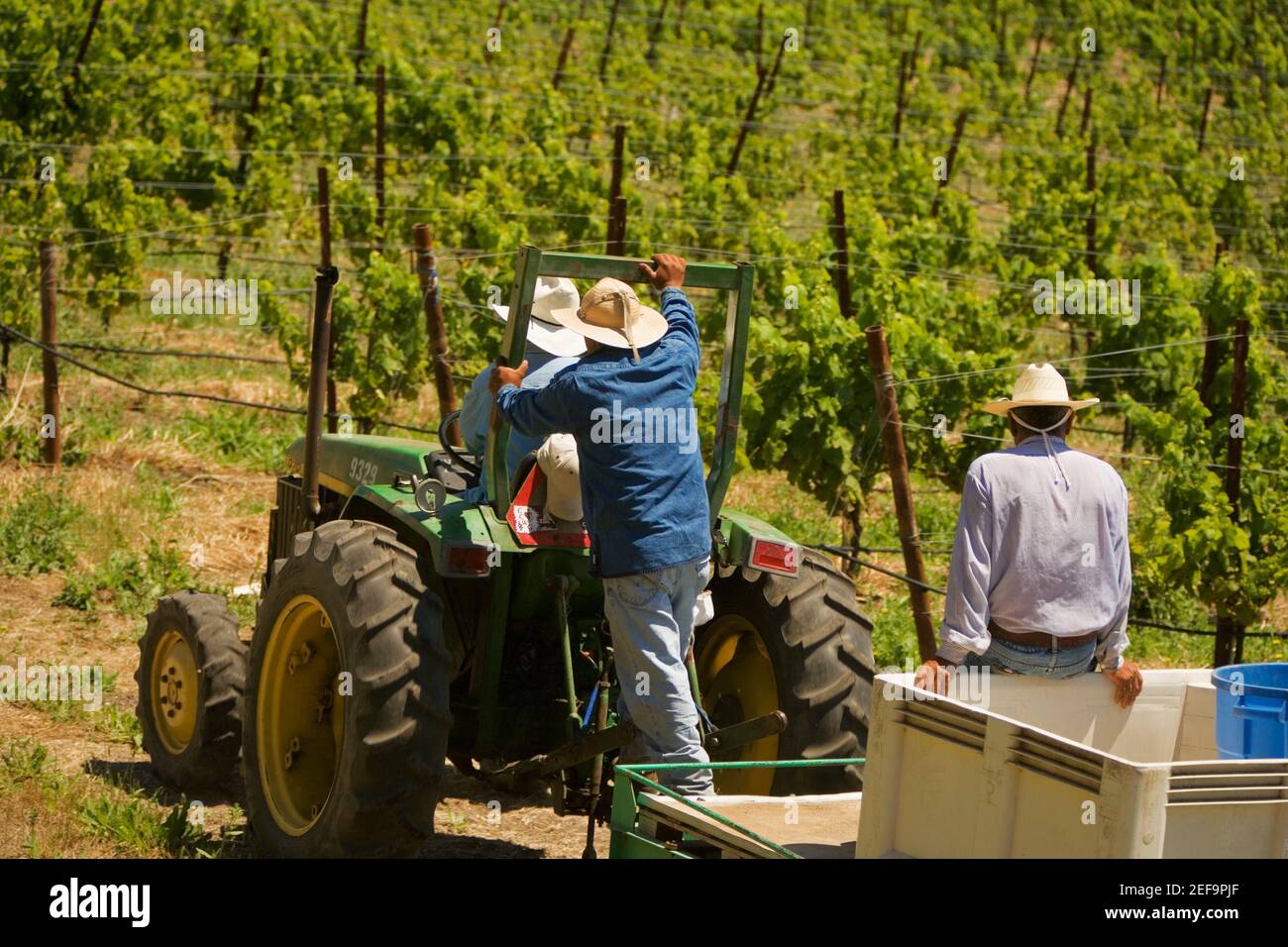 Rear three quarter view of tractor hi-res stock photography and images ...