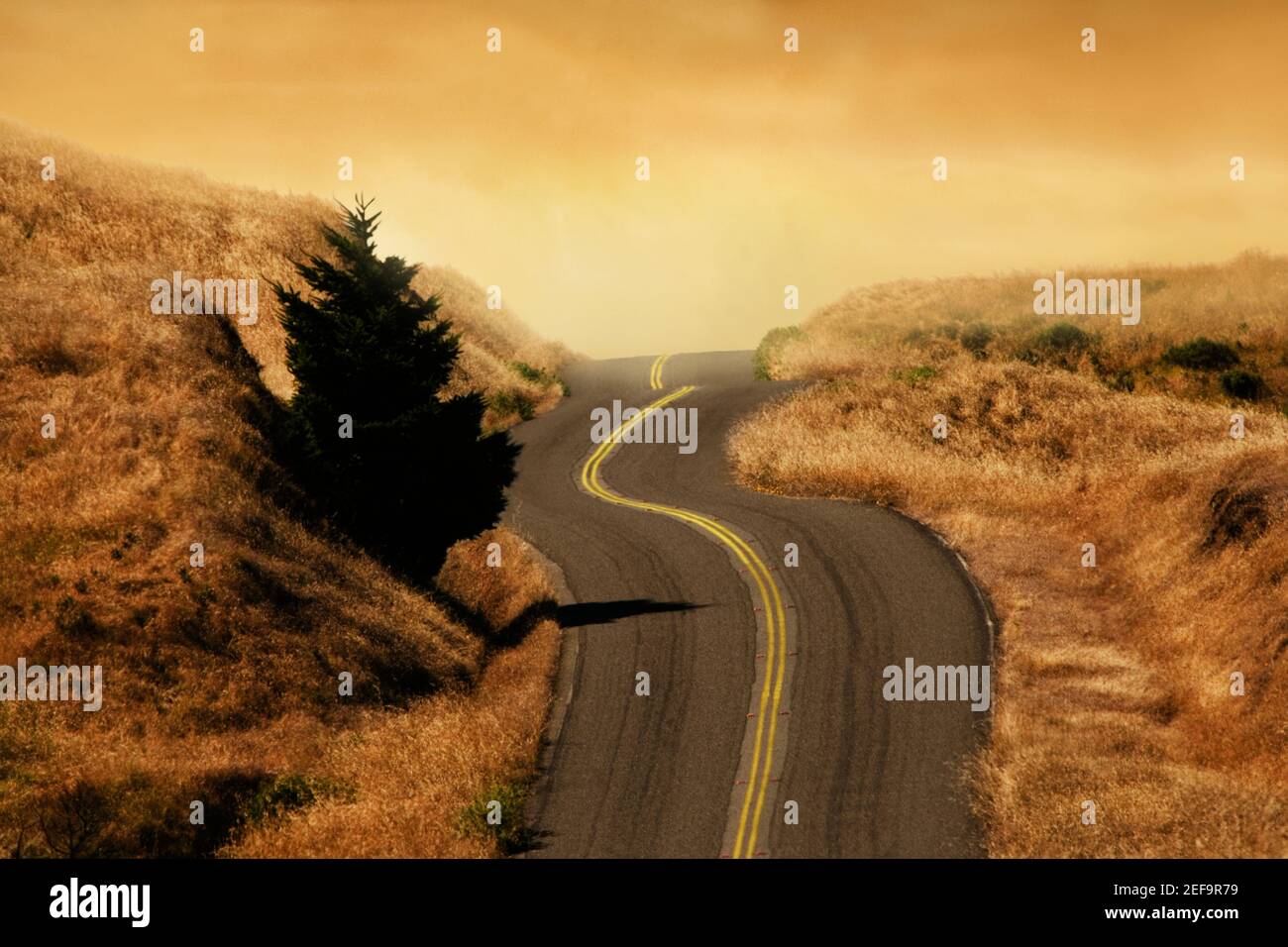 Road passing through a landscape Stock Photo - Alamy