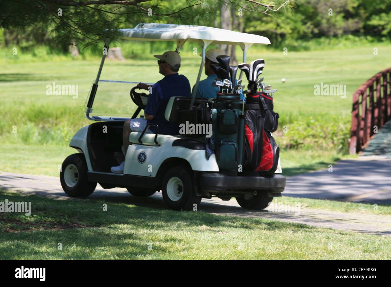 Rear view of two men on a golf cart Stock Photo - Alamy