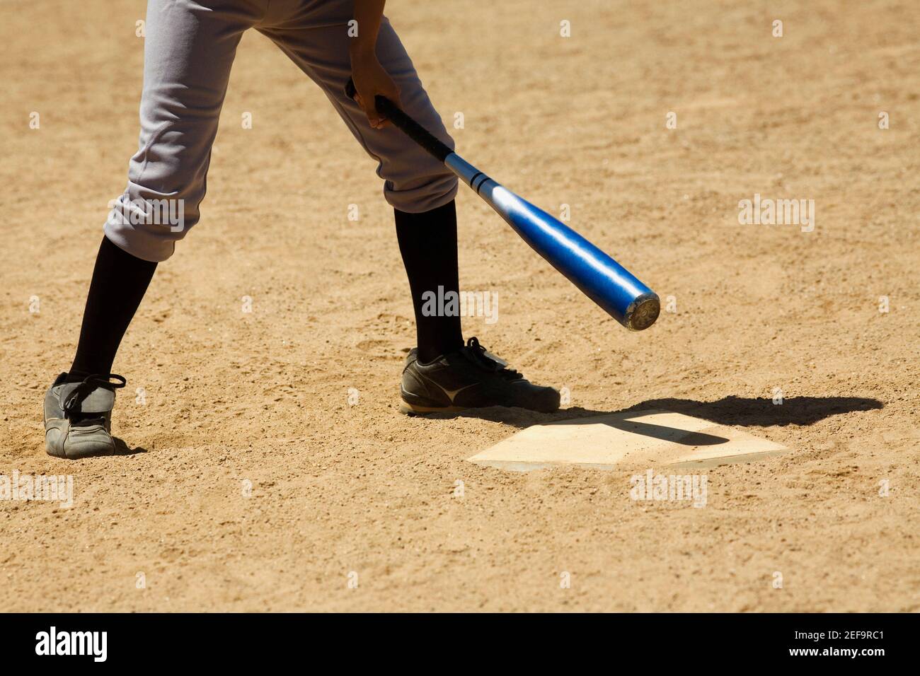 Bat close up hi-res stock photography and images - Alamy