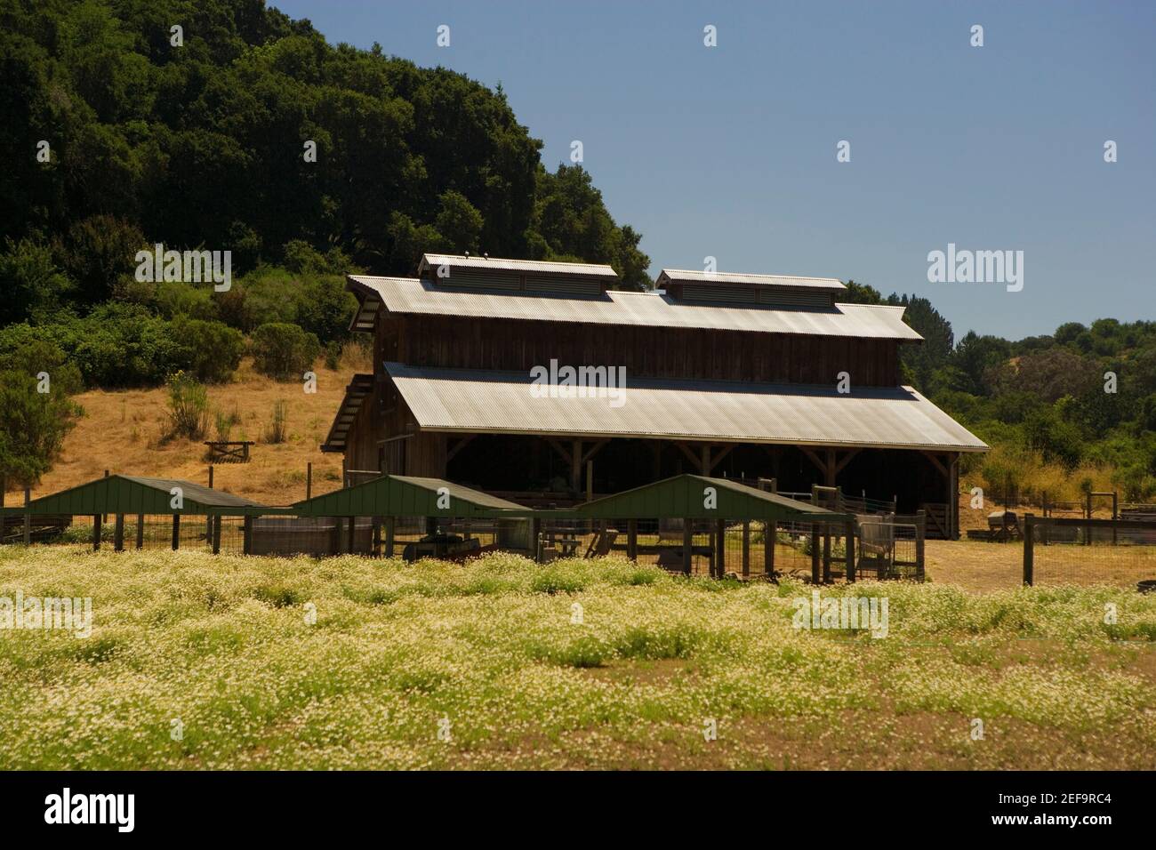 Farmhouse in a field Stock Photo - Alamy
