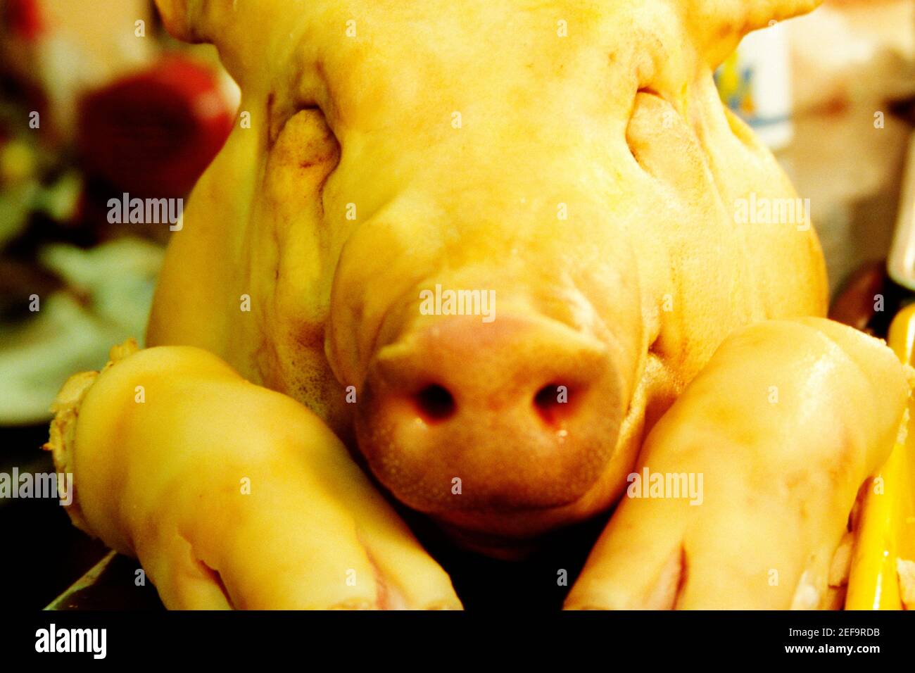 Dead themes hi-res stock photography and images - Alamy