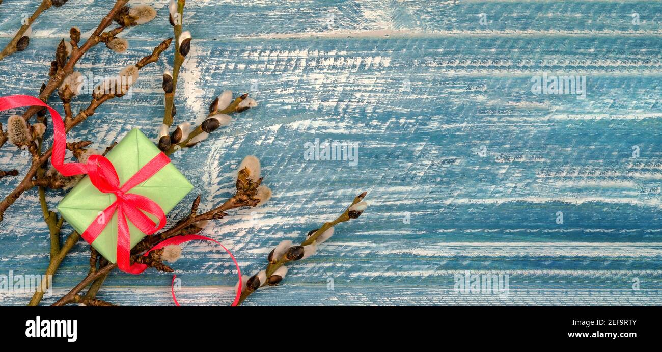 Willow twigs. Holy Easter. Blue turquoise background. Gift boxes with ...